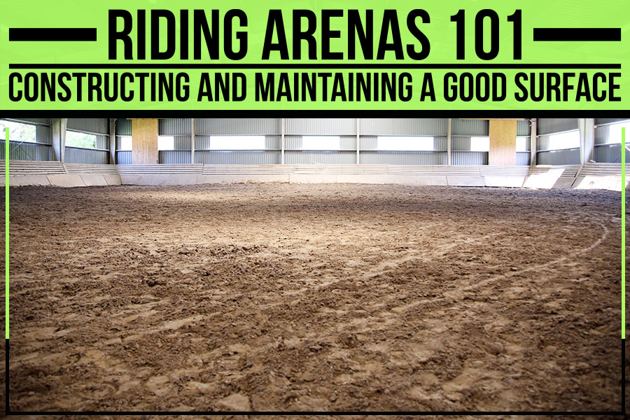 Riding Arenas 101: Constructing And Maintaining A Good Surface - Dirt ...