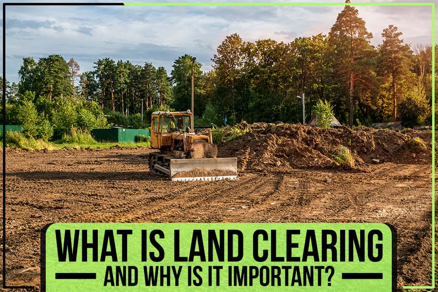 What Is Land Clearing And Why Is It Important? - Dirt Werx Blog